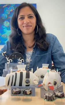 Radhika Nagpal | NAGPAL LAB