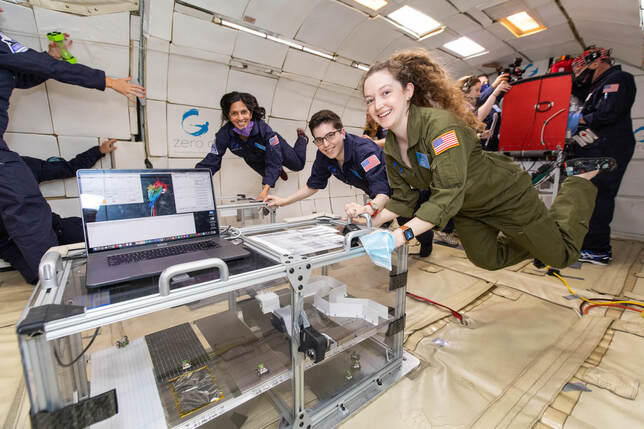 Research | NAGPAL LAB